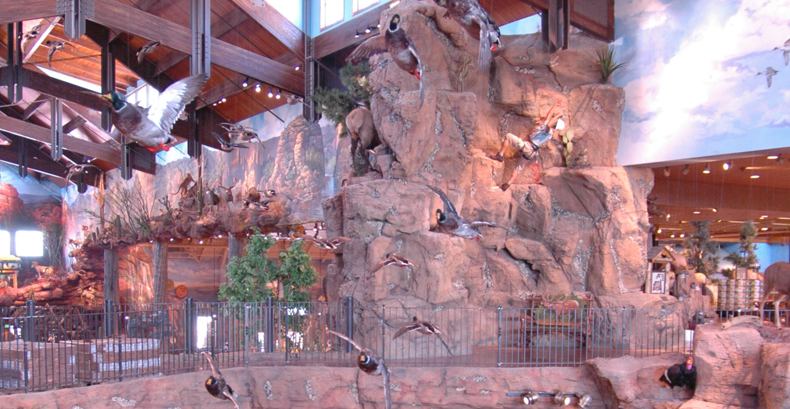 Bass Pro Mesa in Mesa, AZ (Bass Pro Shops) | W.E. O'Neil Construction