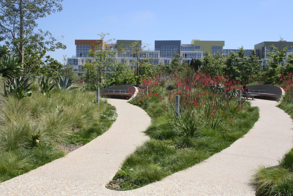 Tongva Park and Genser Town Square in Santa Monica, CA (City of Santa ...